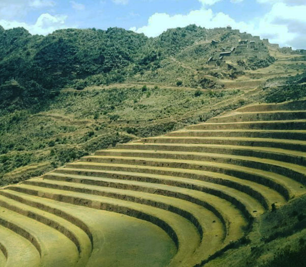 Maras and Moray Half Day Tour, Visit the Salt Mines Circular Terraces