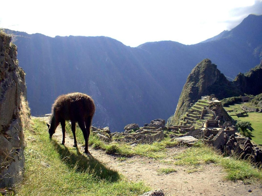 Some interesting things to consider for visit Peru